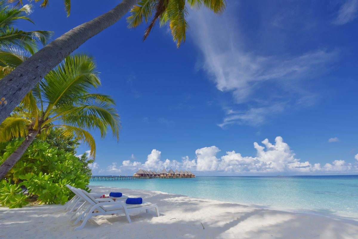 Angaga Island Resort – Malediven-Insel zum Wohlfühlen und Tauchen ...